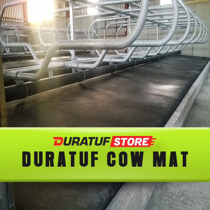 Benefits of Cow Mats for Cows in Cowsheds - Celebhurley1234’s blog