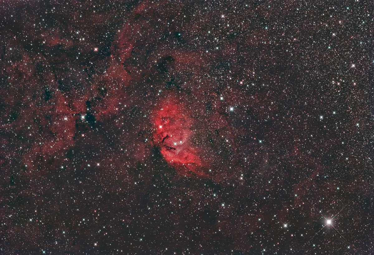 SH2-101「チューリップ星雲」（はくちょう座） - Chisakariの星狩り