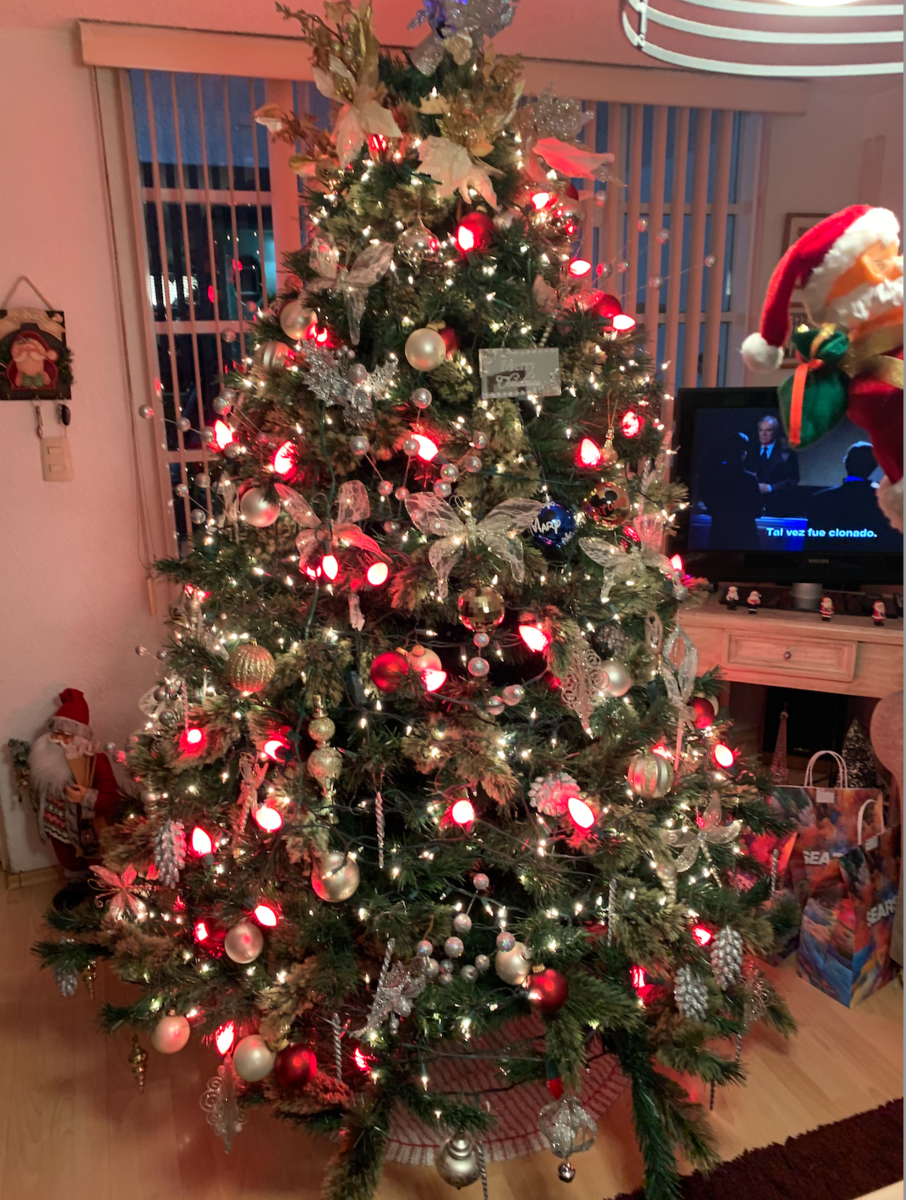 Feliz Navidad - Pumas de la UNAM