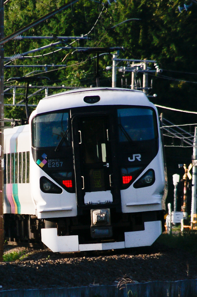 【中央線撮影記#54】最近のまとめ記事的な。(E257臨回、長坂カーブ、E655、etc...) - ひがなり雑記帳