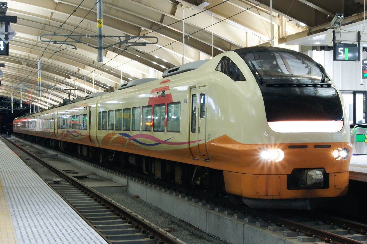 白新線撮影記#1 E653系いなほ号（と、+α） - ひがなり雑記帳