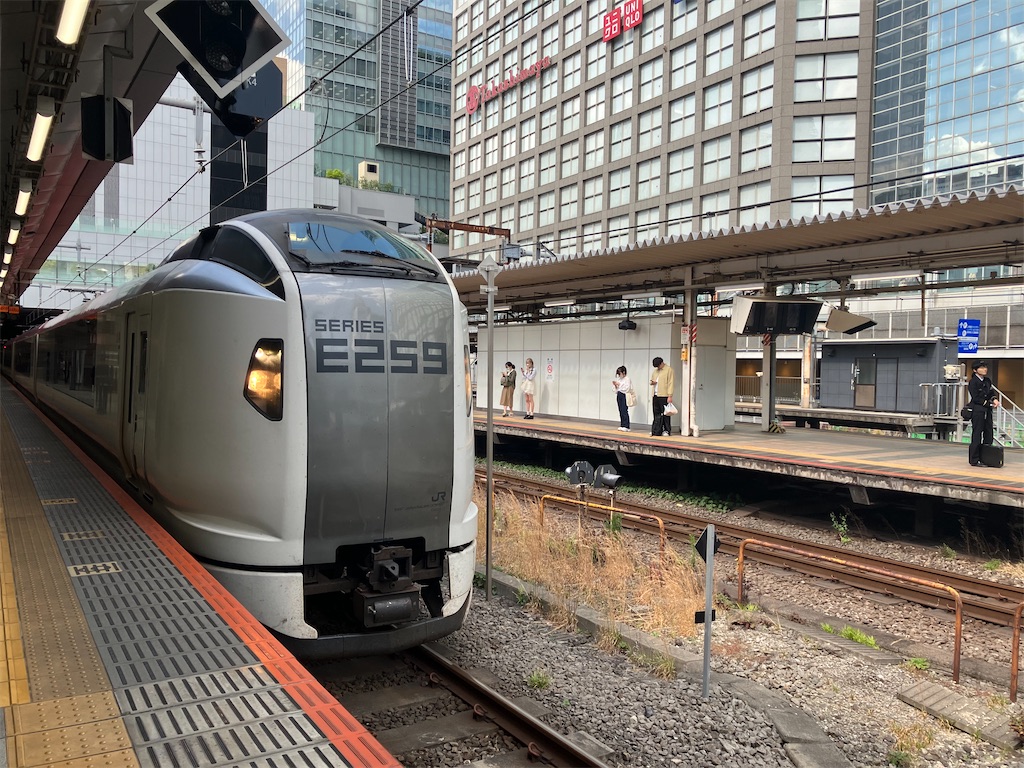 春休み#79 久しぶりのおでかけ。E217系廃車回送。383系しなのとE353系あずさ。 - ひがなり雑記帳