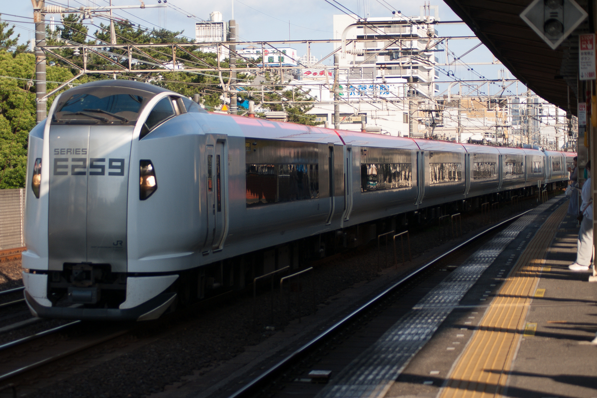 久しぶりのJR。E257系500番台あやめ祭り・5000番台集約臨、E217系、E259系。 - ひがなり雑記帳