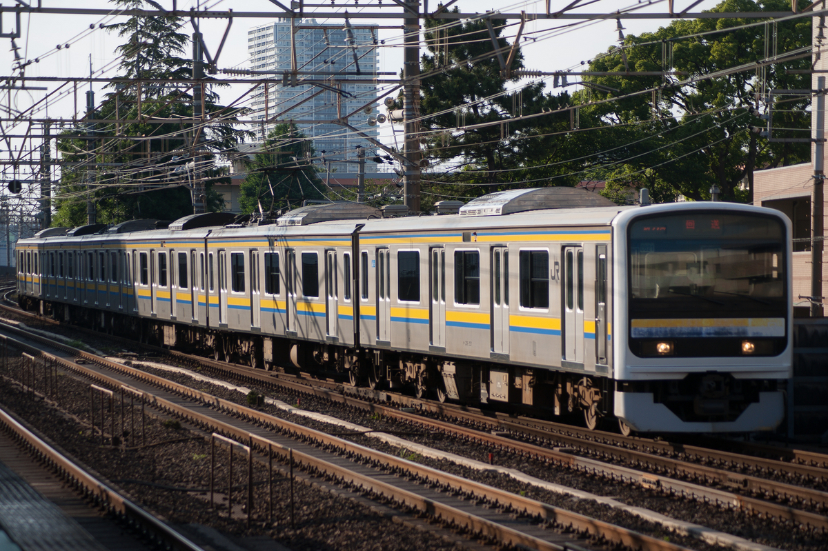 久しぶりのJR。E257系500番台あやめ祭り・5000番台集約臨、E217系、E259系。 - ひがなり雑記帳