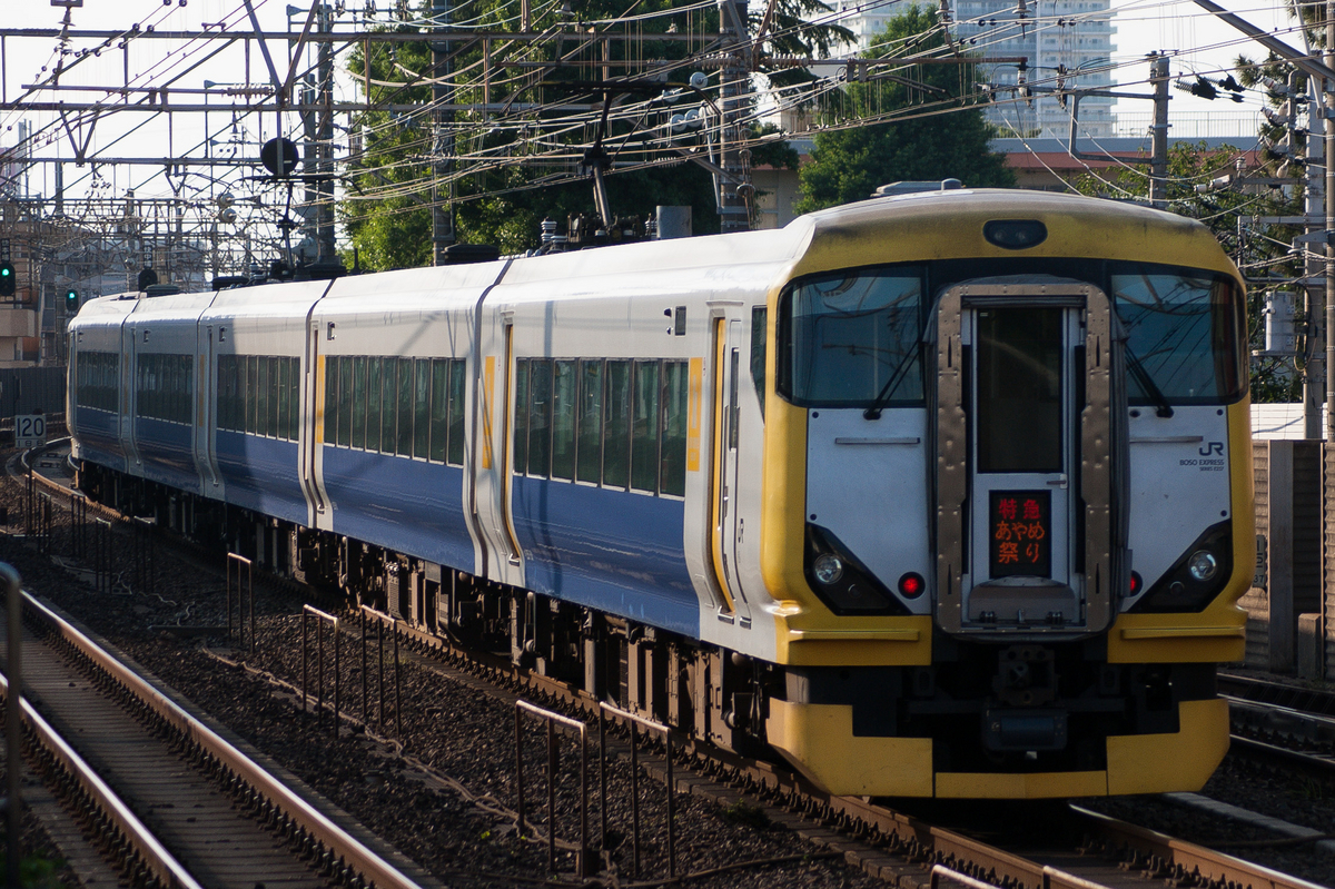久しぶりのJR。E257系500番台あやめ祭り・5000番台集約臨、E217系、E259系。 - ひがなり雑記帳