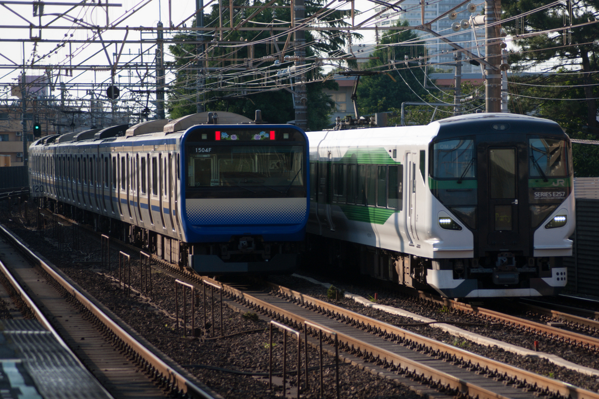 久しぶりのJR。E257系500番台あやめ祭り・5000番台集約臨、E217系、E259系。 - ひがなり雑記帳