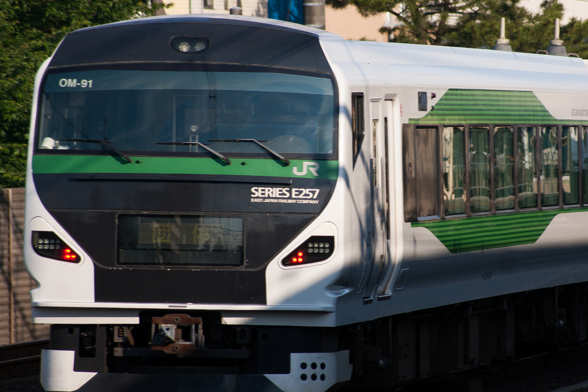 久しぶりのJR。E257系500番台あやめ祭り・5000番台集約臨、E217系、E259系。 - ひがなり雑記帳