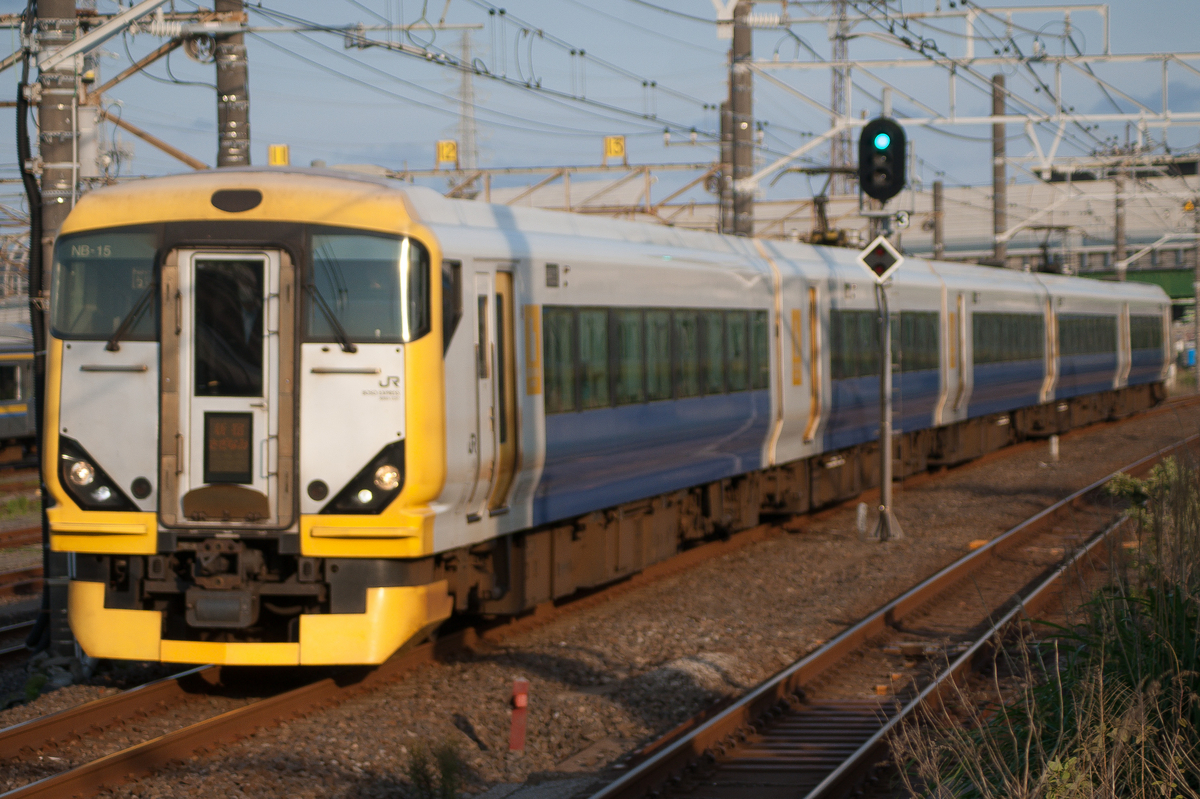 総武快速線撮影記。お休み中の255系・E259系。成田エクスプレス・E257系500番台新宿さざなみ・E217系快速等。 - ひがなり雑記帳