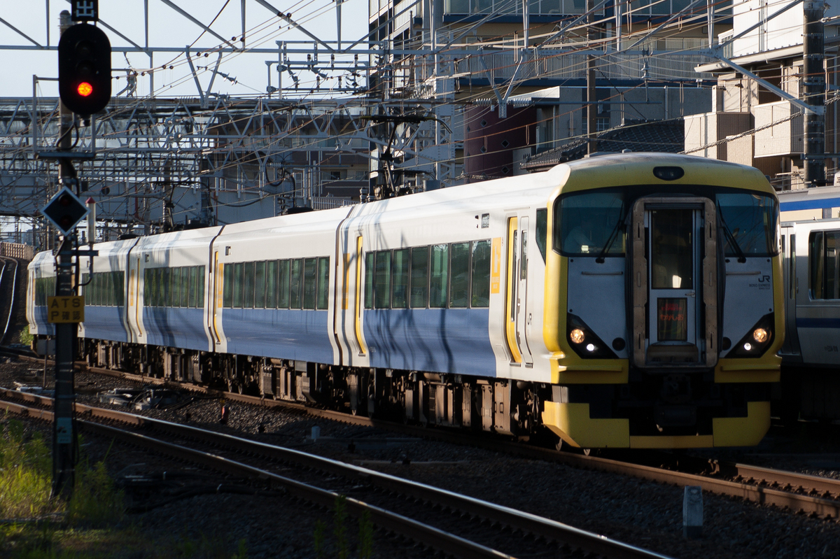 6/4 外房・内房線撮影記。E257系500番台回送。E217系快速。最後は255系わかしお18号車内でBe-05編成廃車回送写真の現像。 - ひがなり雑記帳