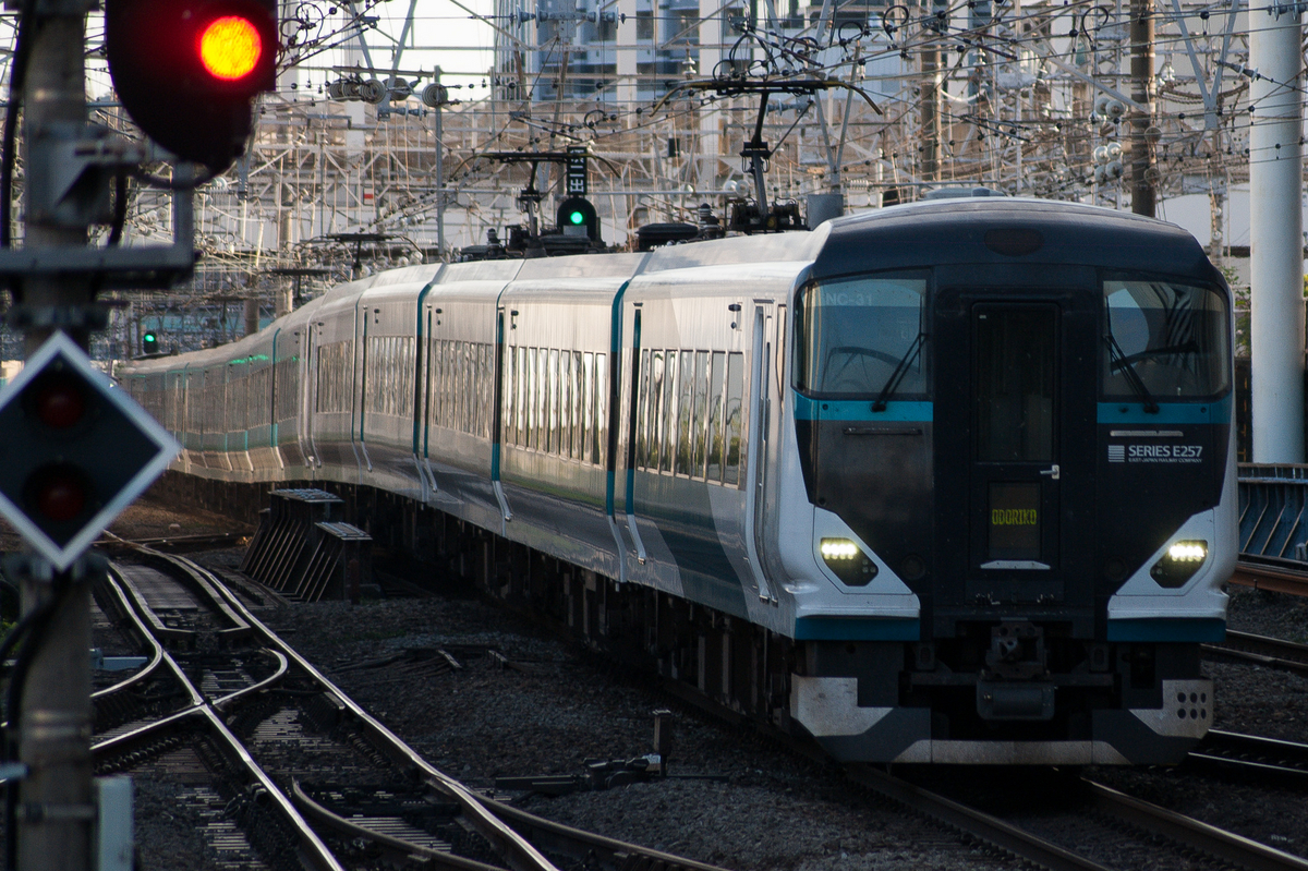 日が長い時期の特権ということで、E257系特急踊り子・湘南を撮ろう！無限E231系1000番台編。（東海道線撮影記） - ひがなり雑記帳