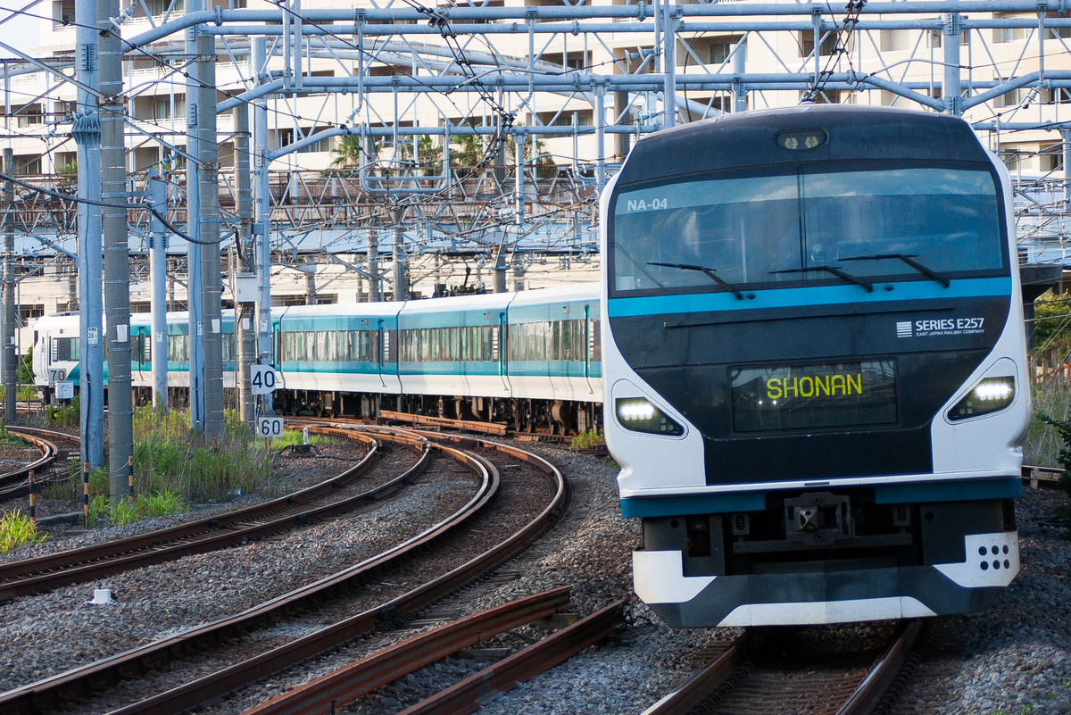 日が長い時期の特権ということで、E257系特急踊り子・湘南を撮ろう！無限E231系1000番台編。（東海道線撮影記） - ひがなり雑記帳