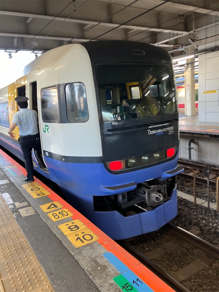 【旅行記もどき】京葉線に生き残った255系と廃車される255系を堪能した2日間の記憶。友情出演：N700S、ケヨ34、E257系。 - ひがなり雑記帳