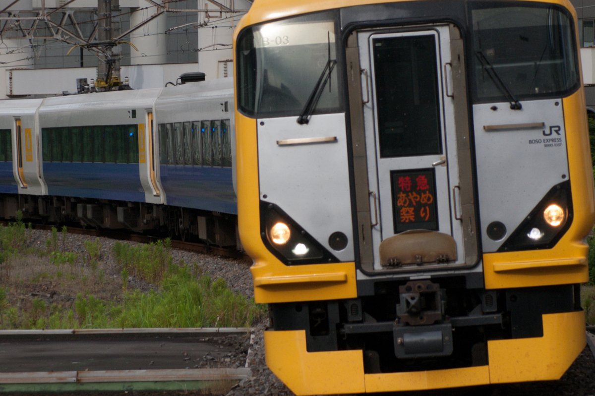 総武線撮影記。E257系臨時特急「あやめ祭り」「新宿さざなみ」とE217系・E259系・209系も。 - ひがなり雑記帳