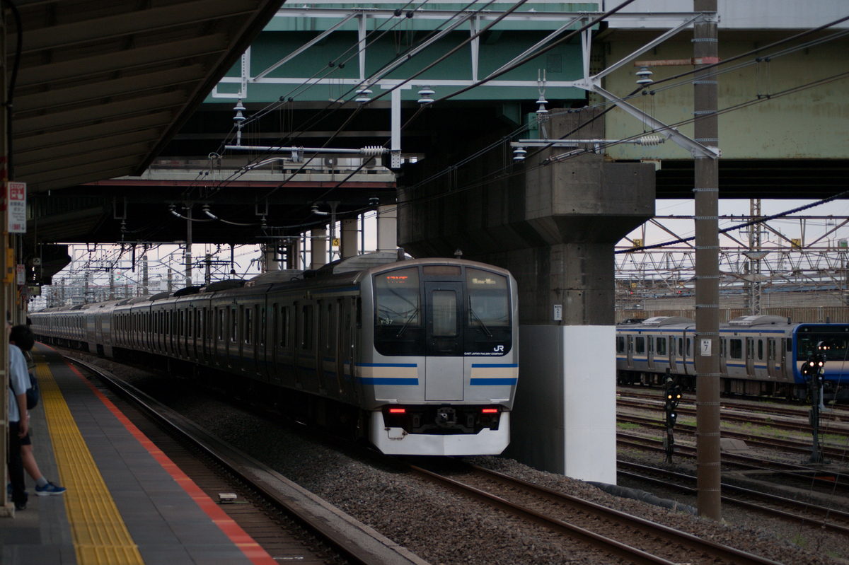 総武快速線撮影記（続き）。E257系臨時特急、E217系。京葉線の255系わかしお号も。 - ひがなり雑記帳