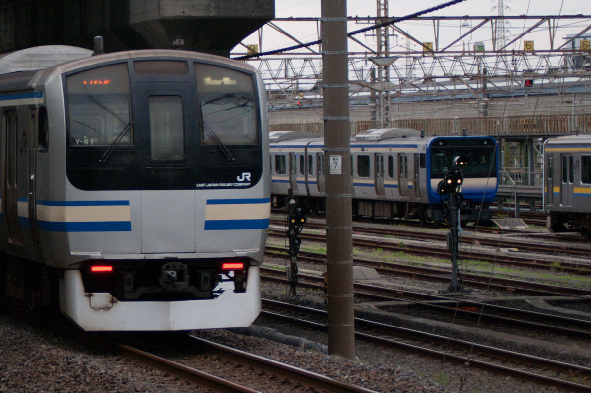 総武快速線撮影記（続き）。E257系臨時特急、E217系。京葉線の255系わかしお号も。 - ひがなり雑記帳