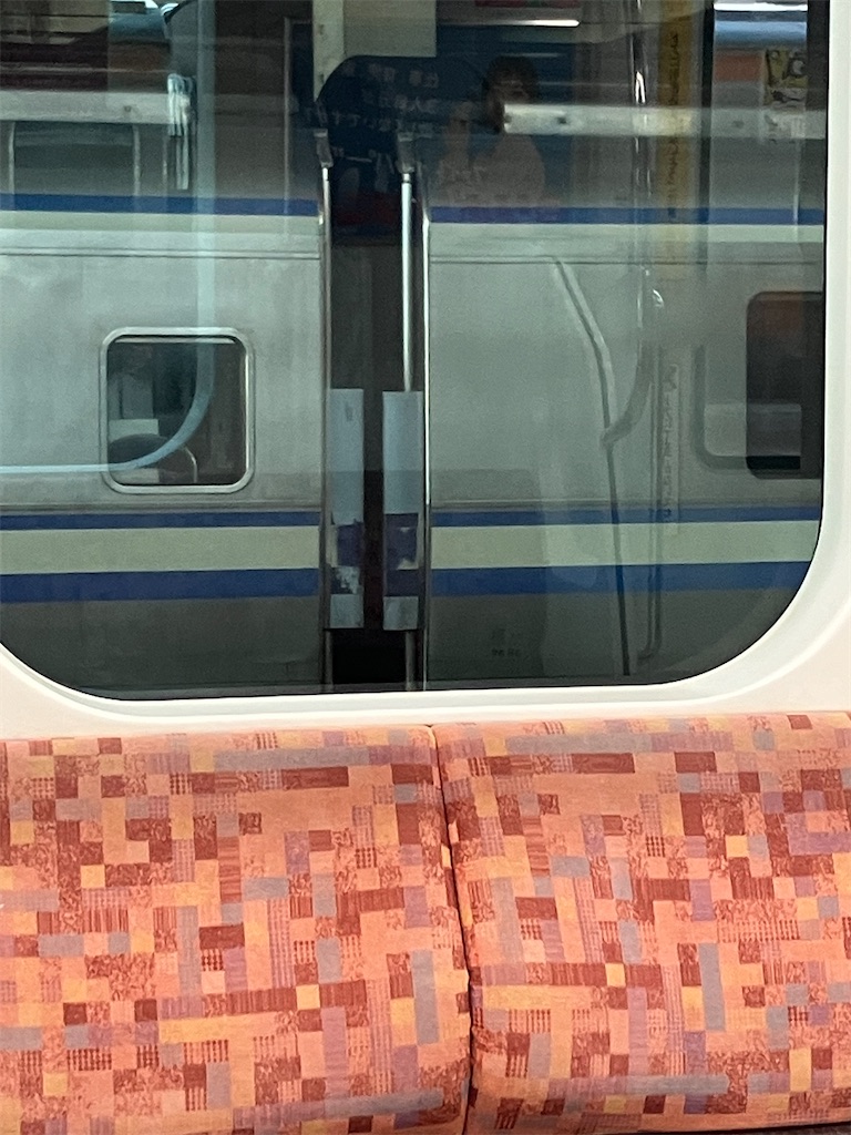 E217系廃車回送を追っかけろ！久しぶりな中央線E233系。帰り道の湘南新宿ラインと悲劇。 - ひがなり雑記帳