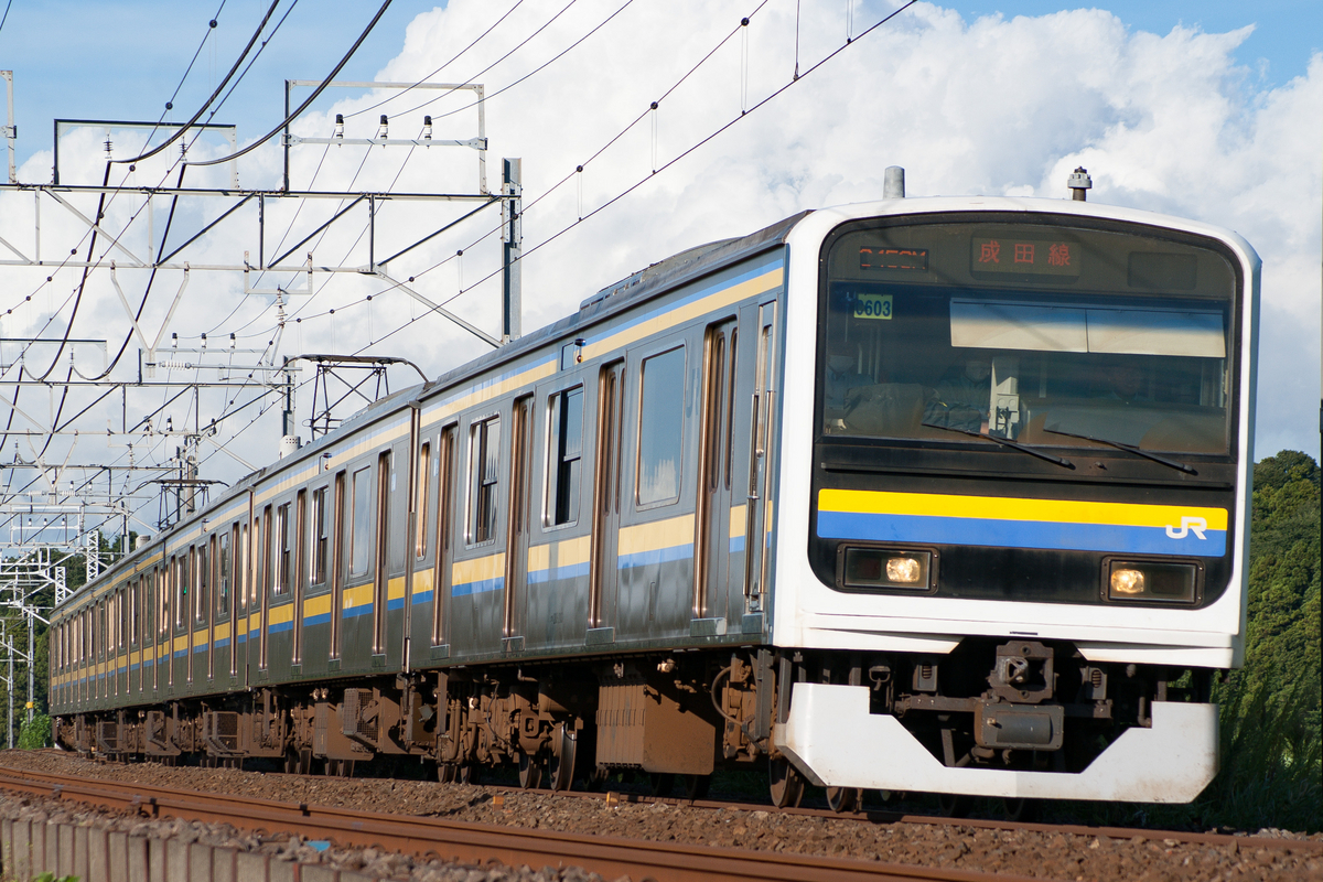 【過去#】令和5年秋の総武本線撮影記。209系、EF210、E235系、旧塗装のE259系。一応E217系と255系も少し。 - ひがなり雑記帳