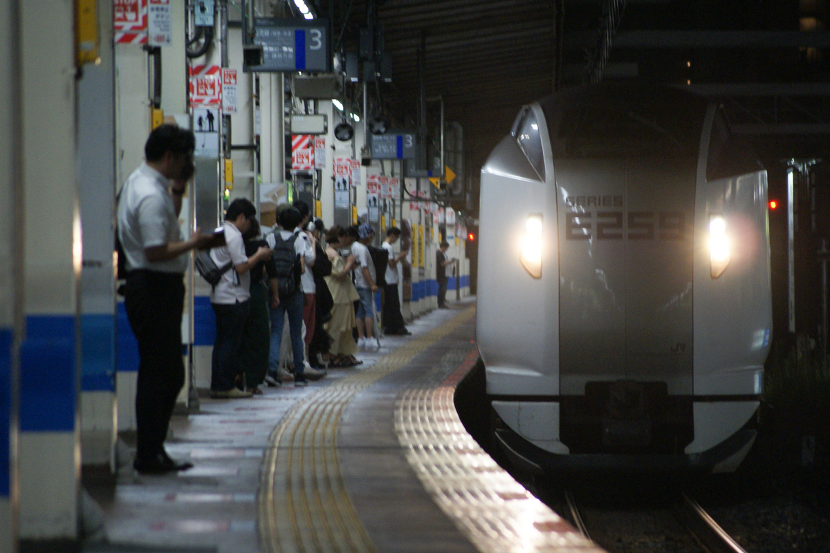 夜の総武快速線撮影記。E257系5500番台臨時特急・E259系成田エクスプレス・E217系（乗車も）。11両快速と大運動会の様子。 - ひがなり雑記帳