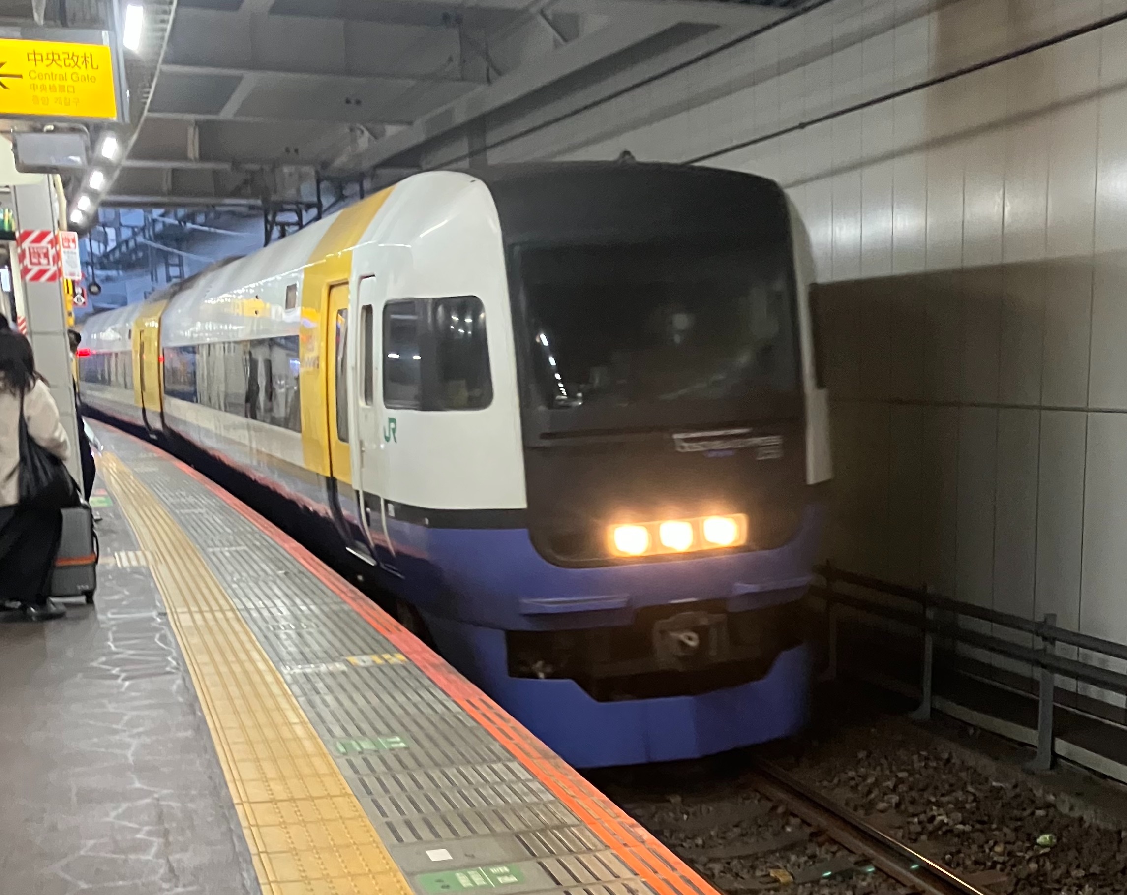 【過去画清算】令和6年弘前帰省第一弾。E353系あずさ・255系特急しおさいとE5系はやぶさで向かう我が故郷。東京駅でのE2系・E3系・E5系・E7系撮影。 - ひがなり雑記帳