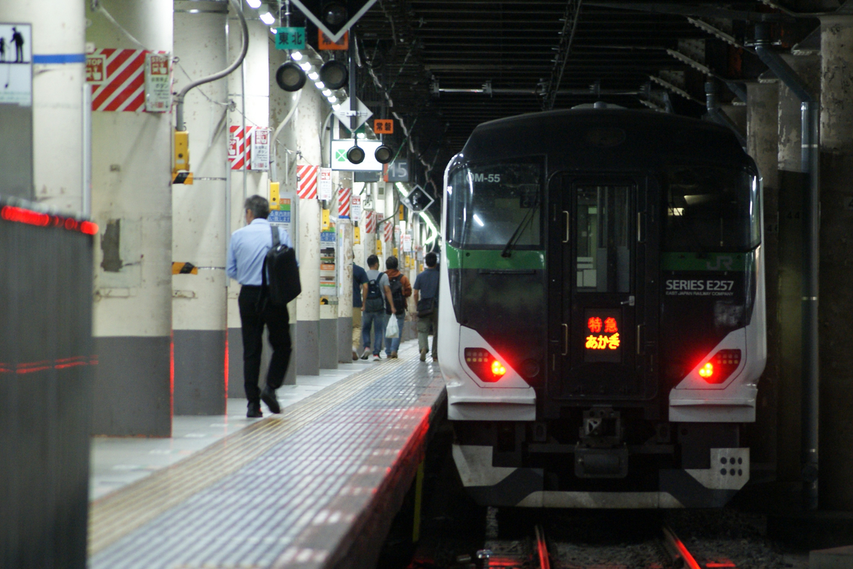 上野駅での各種E257系撮影（地平ホーム含む）と、お久しぶりな常磐線撮影。E231系・E657系と赤電E531系。 - ひがなり雑記帳