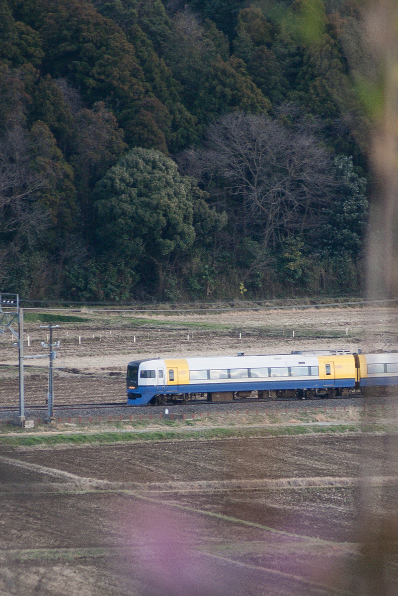 総武本線俯瞰撮影と255系・E257系しおさい。翌日のモノサク（超バリ晴れ）の話も少しだけ。 - ひがなり雑記帳