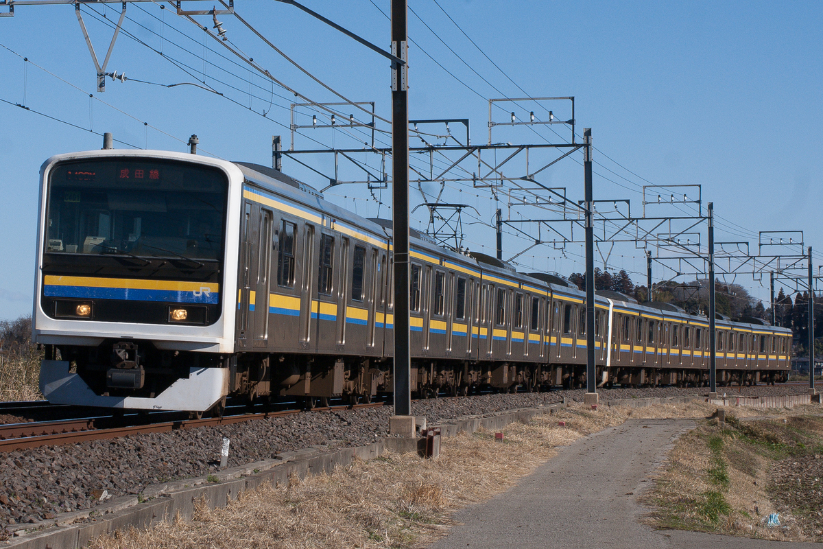 君に花咲く朝のモノサク(？) 255系しおさい・E259系・E217系・209系の撮影だよーん。【総武線撮影記】 - ひがなり雑記帳