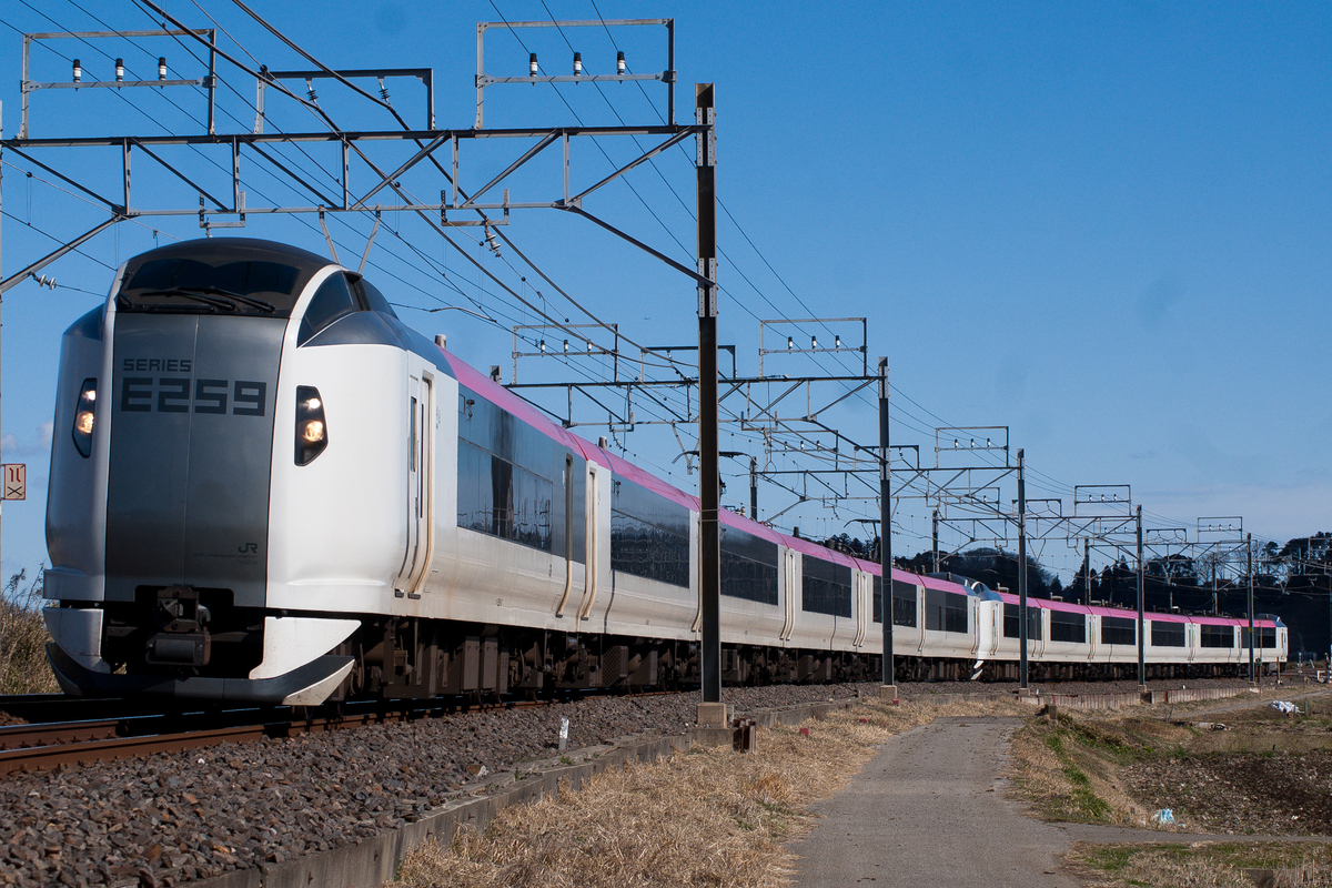 君に花咲く朝のモノサク(？) 255系しおさい・E259系・E217系・209系の撮影だよーん。【総武線撮影記】 - ひがなり雑記帳