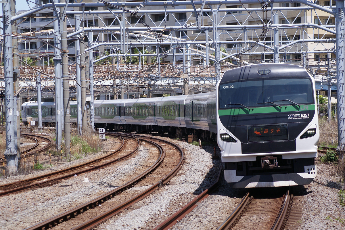 東海道線撮影記。E257系0番台・500番台思い出話と2000代臨時特急踊り子・E233系・E231系。友情出演：E217系との思い出。 - ひがなり雑記帳
