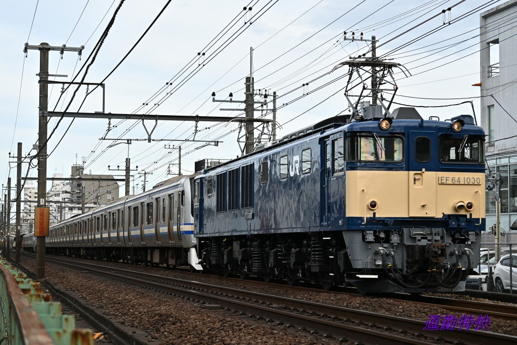 2024/02/15 E217系 配給列車 - 通勤特快