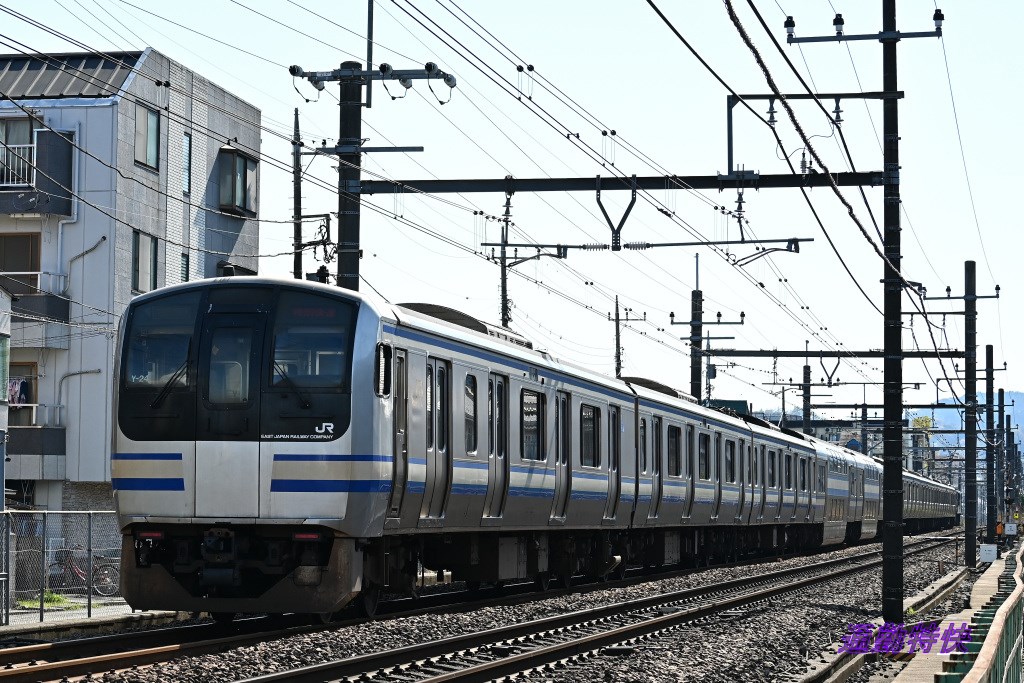 2024/04/10 E217系 配給列車 - 通勤特快