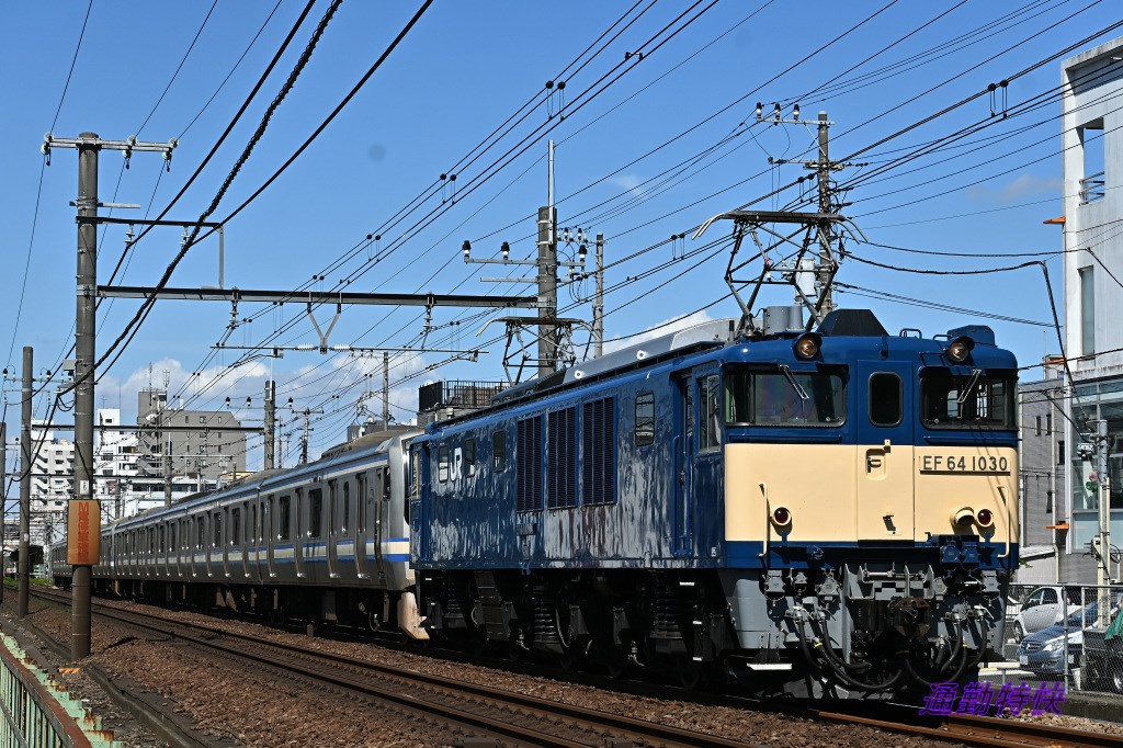 2024/06/12 E217系 配給列車 - 通勤特快