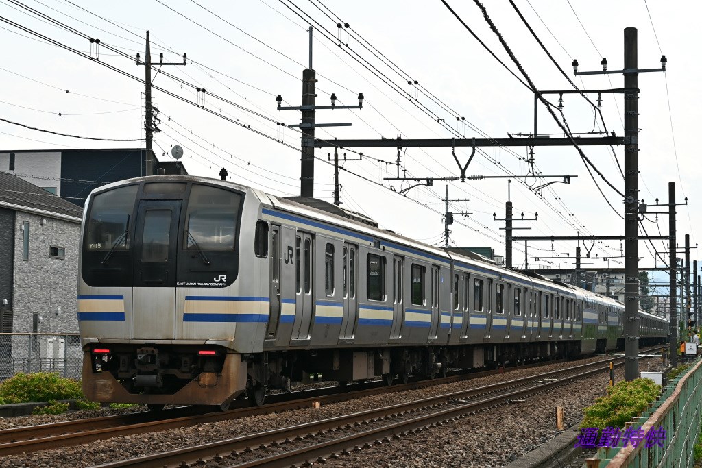 2024/08/21 E217系 配給列車 - 通勤特快