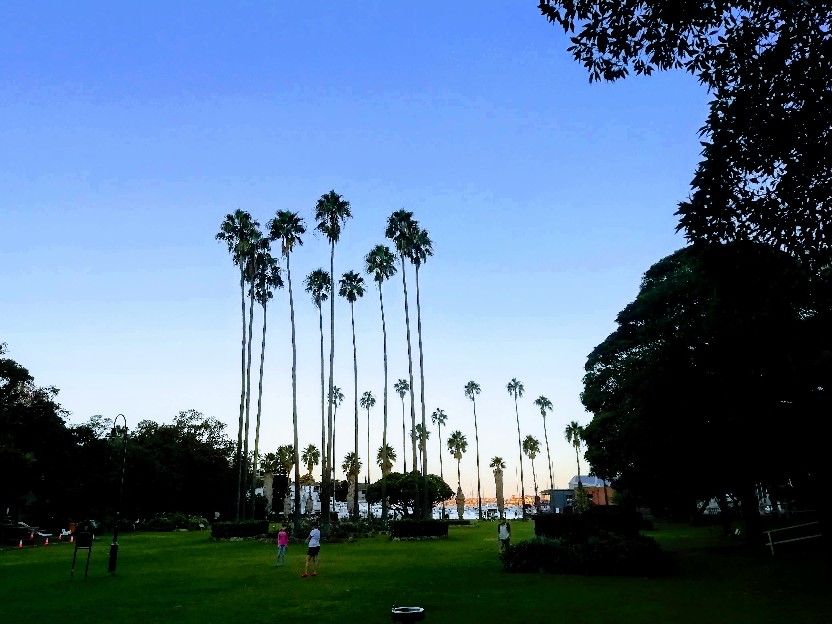 美しい景色がたくさん見られるミルソンズポイントのお散歩コース - ひつじさんぽ