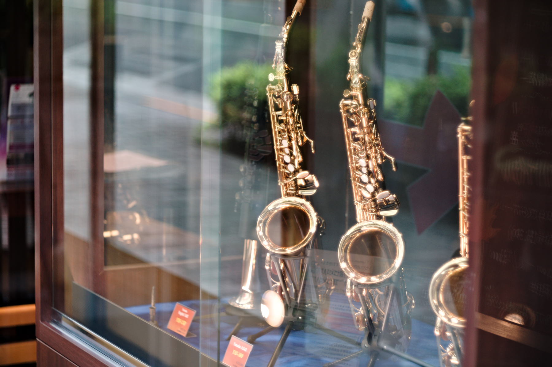 Kodak Leica で小金井お散歩 - Foto Anthem