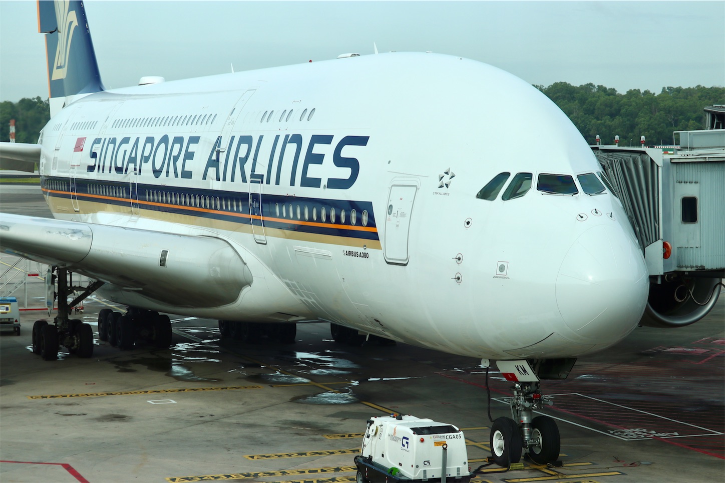 日本でも人気なSQ初体験！ シンガポール航空 シンガポール - ホーチミンシティ SQ178 エコノミークラス 搭乗記 - 航空三昧