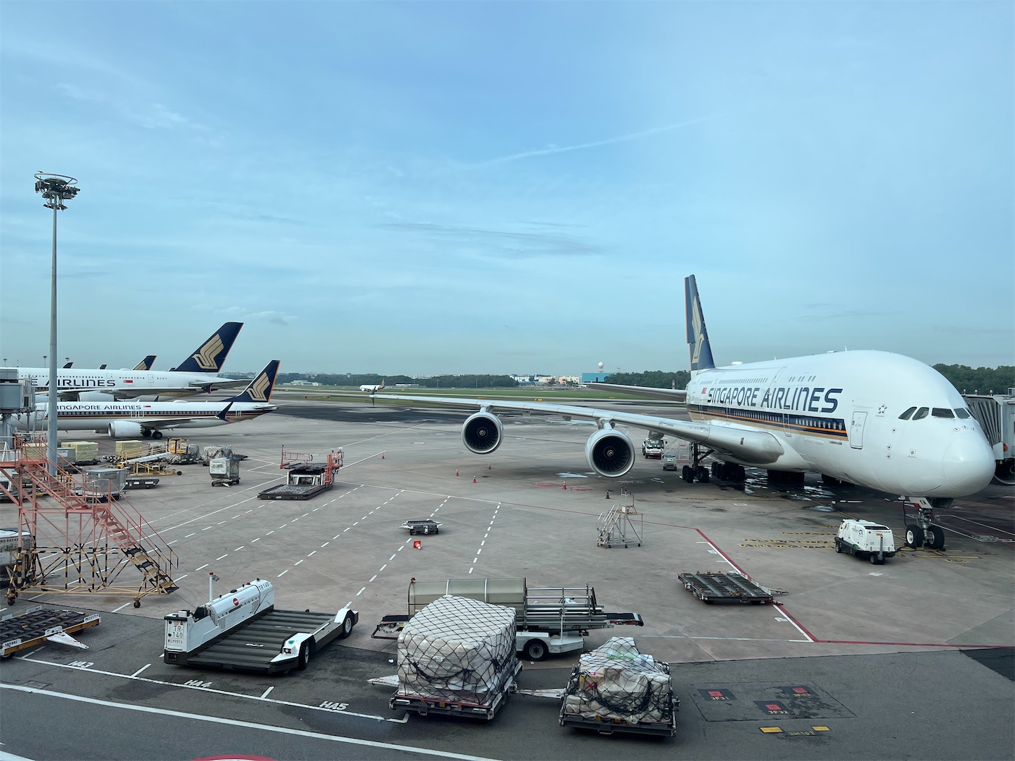 日本でも人気なSQ初体験！ シンガポール航空 シンガポール - ホーチミンシティ SQ178 エコノミークラス 搭乗記 - 航空三昧