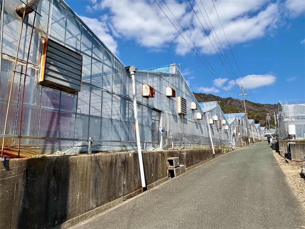 【蒲郡オレンジパーク】時間無制限で楽しめるいちご狩り！3歳未満は無料♪ - DYblog