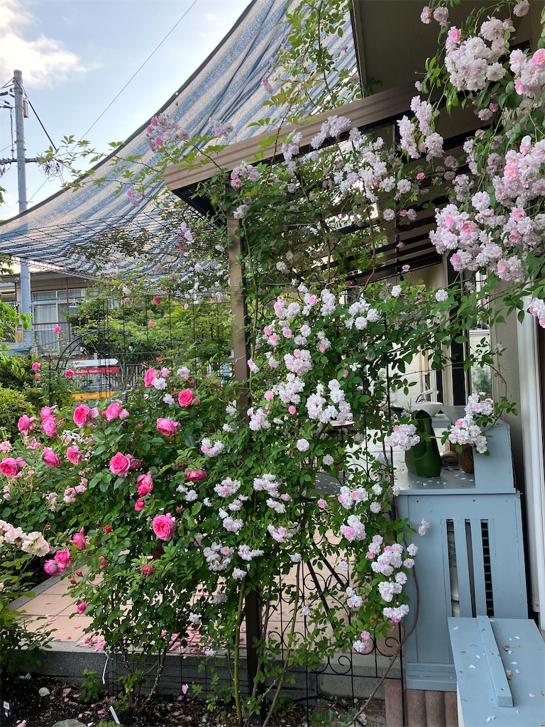 テラスの周りの薔薇 - ダビンチ工房 製作記録