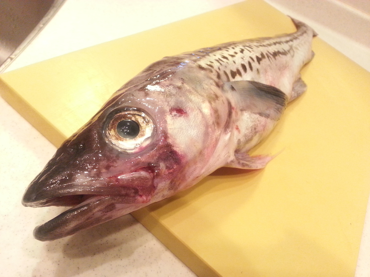 スケソウダラ捌き方・煮付け作り方！白子は下処理し白子ポン酢！ - よちよちエクスプレス