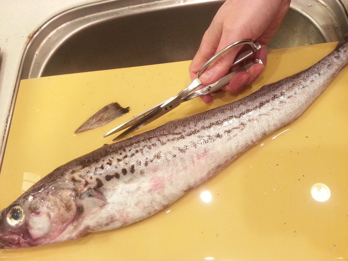 スケソウダラ捌き方・煮付け作り方！白子は下処理し白子ポン酢！ - よちよちエクスプレス