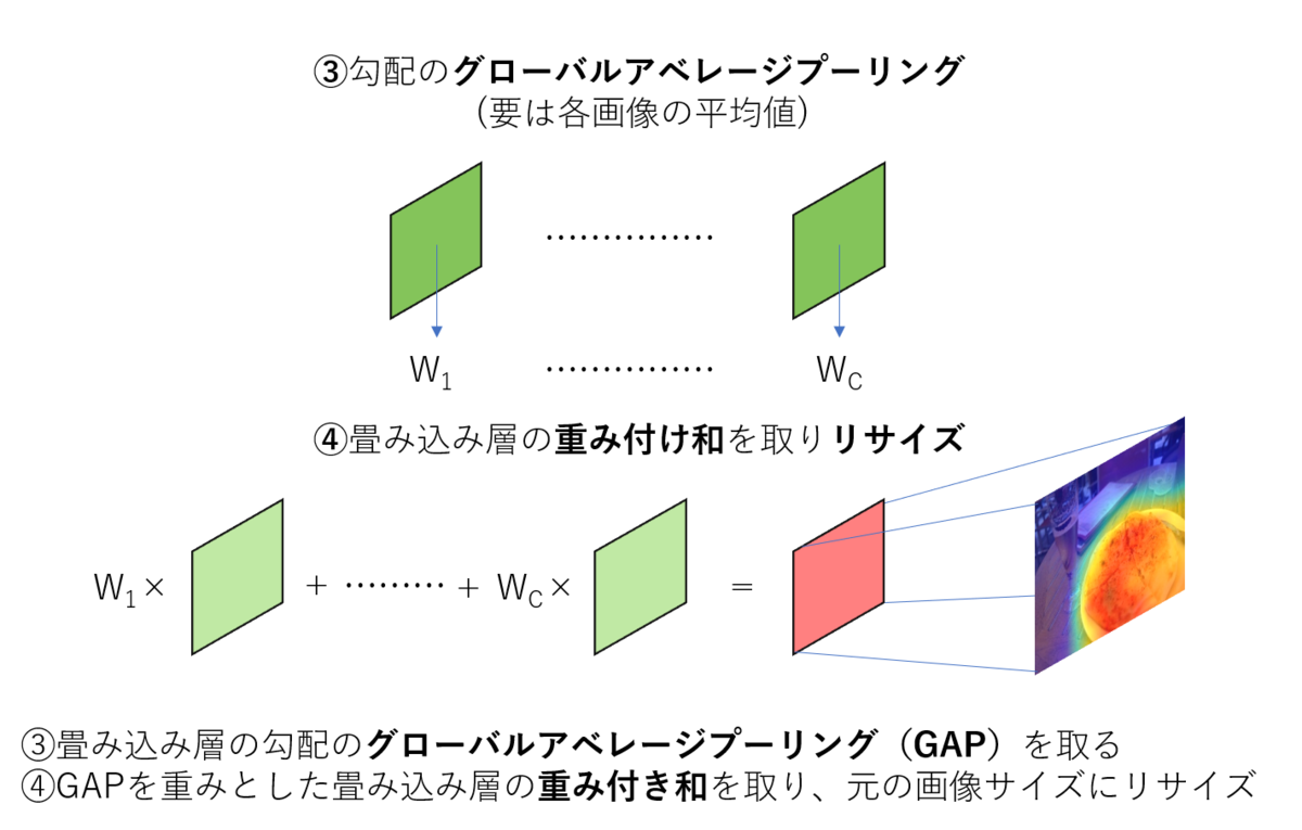 【CNN+Grad-CAM】仕組みの解説と画像の予測根拠可視化 - ころがる狸
