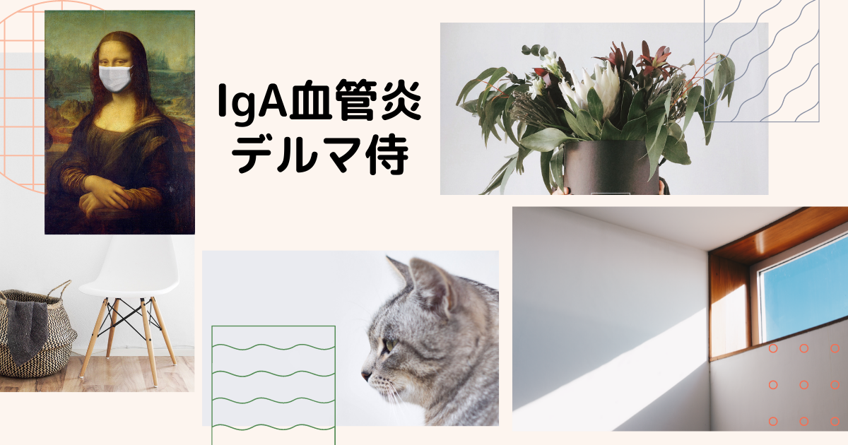 IgA血管炎のプラスアルファ DIFと血液検査 - デルマ侍の皮膚科専門医試験 解答徹底解説