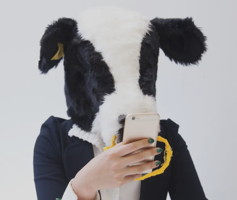 MZDAOのPRコンテスト不通過でした！ 残念っ - DreamerDreamのブログ