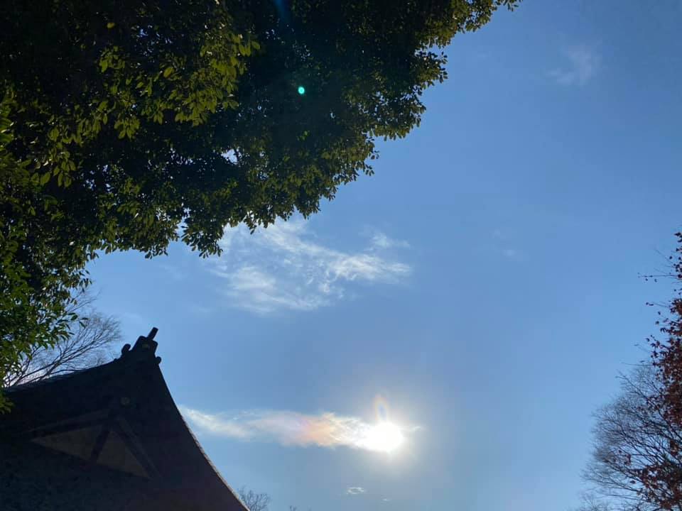 無条件の波動～全身全霊をかけて～ #Shorts - EVHA’s blog