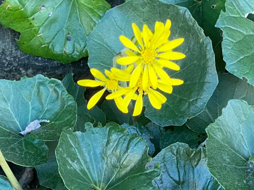 命がなければ 今はない - EVHA’s blog