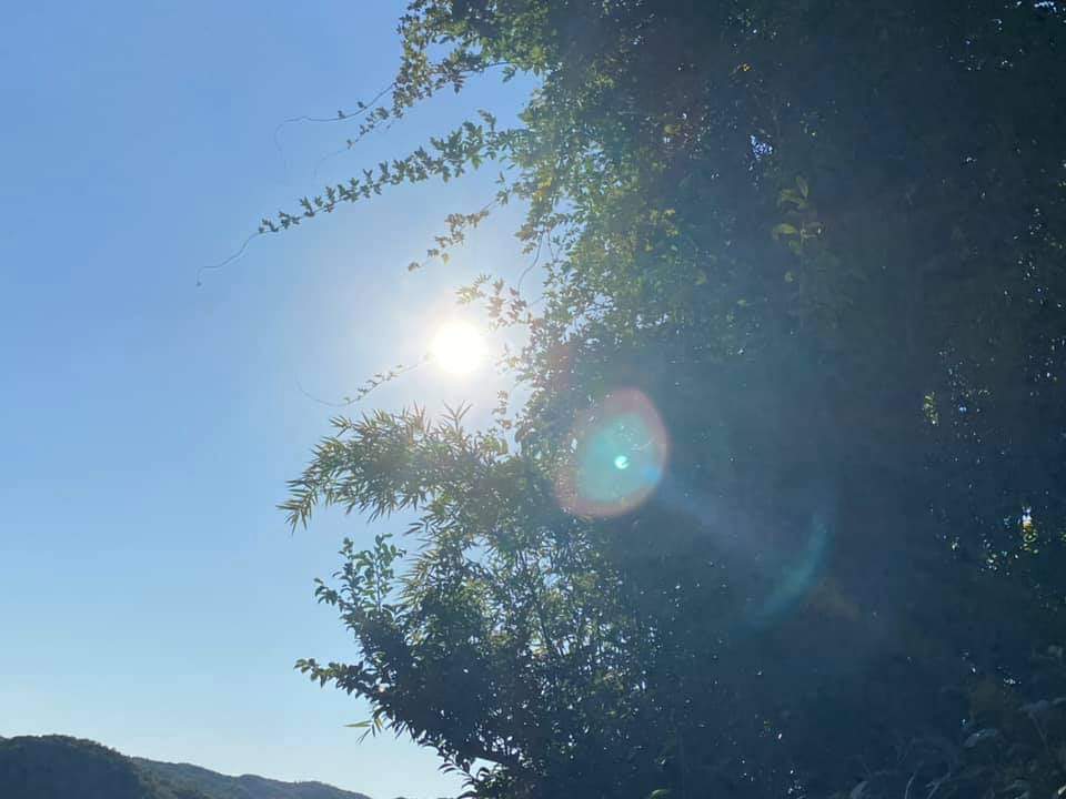 無条件の波動～意識変換へ～ #Shorts - EVHA’s blog