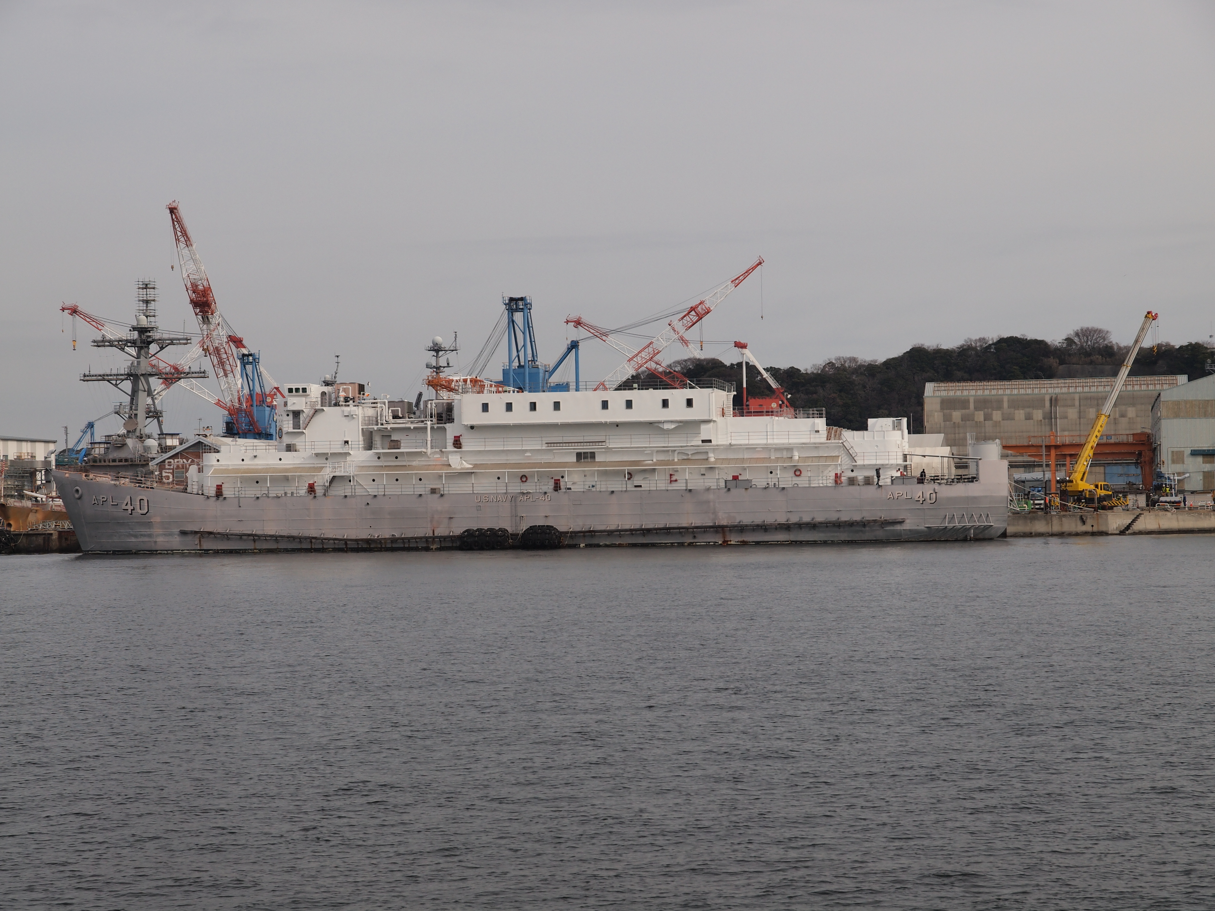 個別「[米海軍][APL-40]横須賀港に停泊中の米海軍の宿泊船「APL-40」。」の写真、画像 - 120115 横須賀港 ...