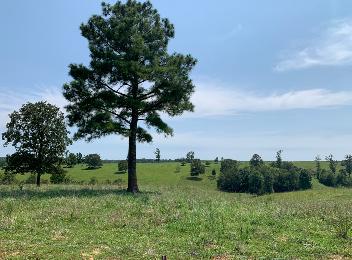 ゴブラースプリングス蒸留所（Gobbler Springs Distillery）テネシーウイスキートレイル#6 ...