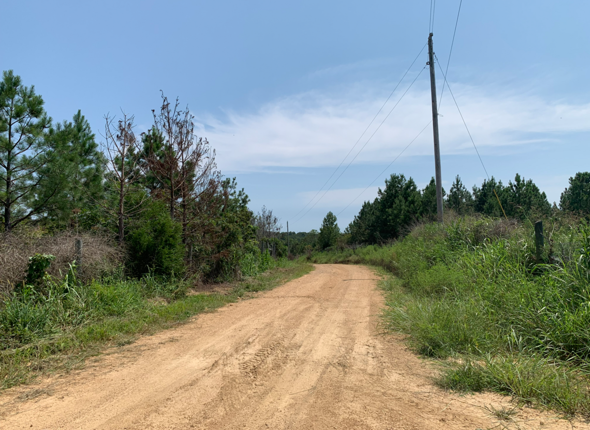 ゴブラースプリングス蒸留所（Gobbler Springs Distillery）テネシーウイスキートレイル#6 ...