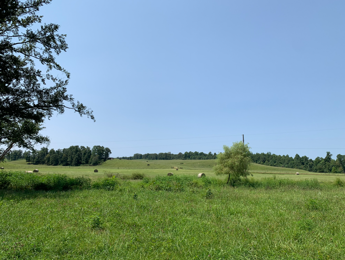 ゴブラースプリングス蒸留所（Gobbler Springs Distillery）テネシーウイスキートレイル#6 ...